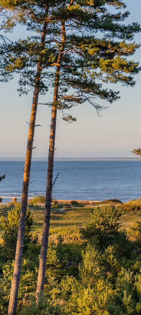 Family Hotel in Skåne, Sweden – The Hotel Riviera Strand Båstad